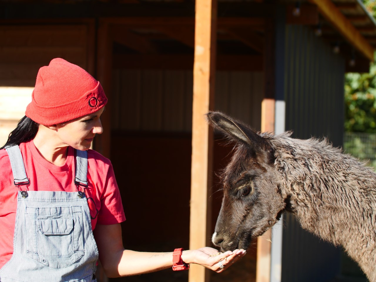 News & Stories | On Call Community Rescue for Animals